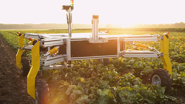 Landwirtschaftliche Roboter: Künstliche Intelligenz nutzt ...
