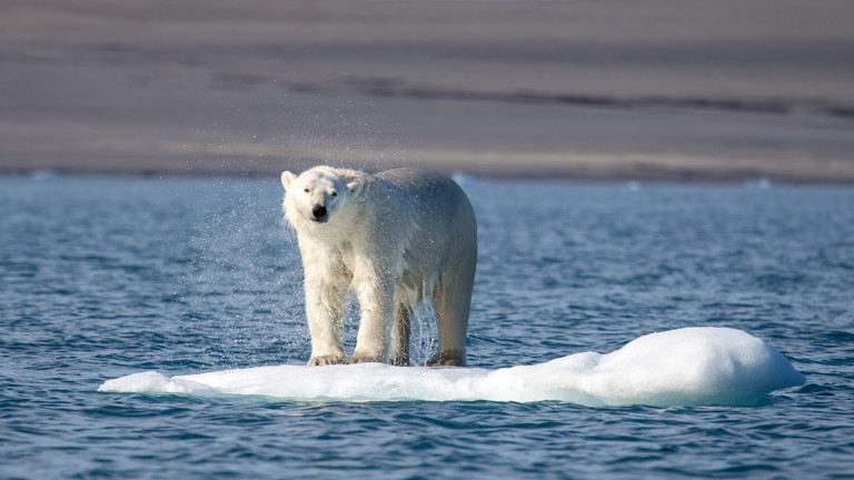 Klimawandel: Eis am Nordpol schmilzt so schnell wie nie · Dlf Nova