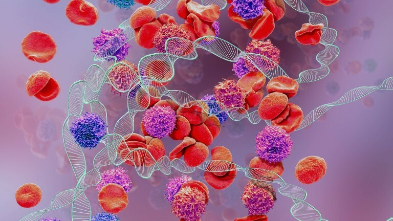 Krebs: Forschende berechnen erstmals den Ursprung einer Krebserkrankung ...