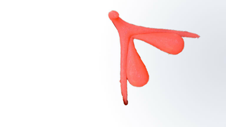 Klitoris, Antarktis, Hummeln · Dlf Nova