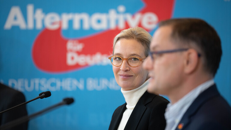 AfD: Warum die Partei auf Tiktok so erfolgreich ist · Dlf Nova