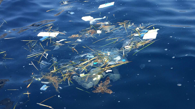 USA: Trump will Plastik-Strohhalme zurück · Dlf Nova