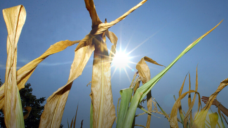 Europa: Droht das nächste Dürrejahr? · Dlf Nova