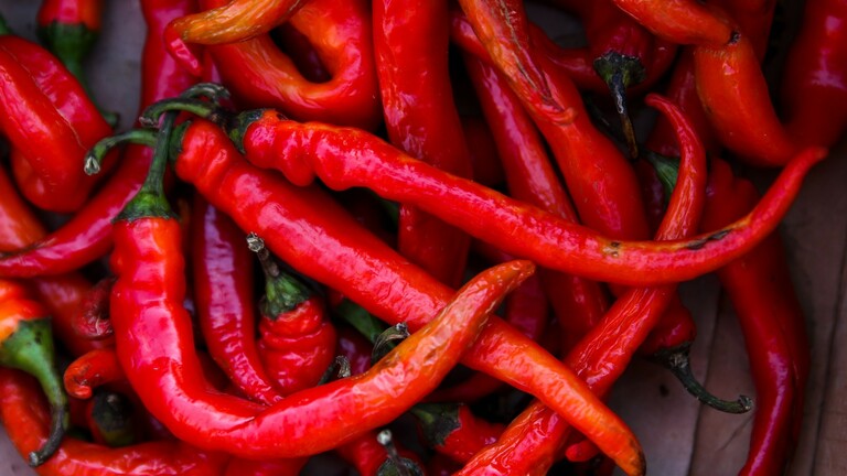 Mexiko: Die Kultur-Geschichte der Chili · Dlf Nova