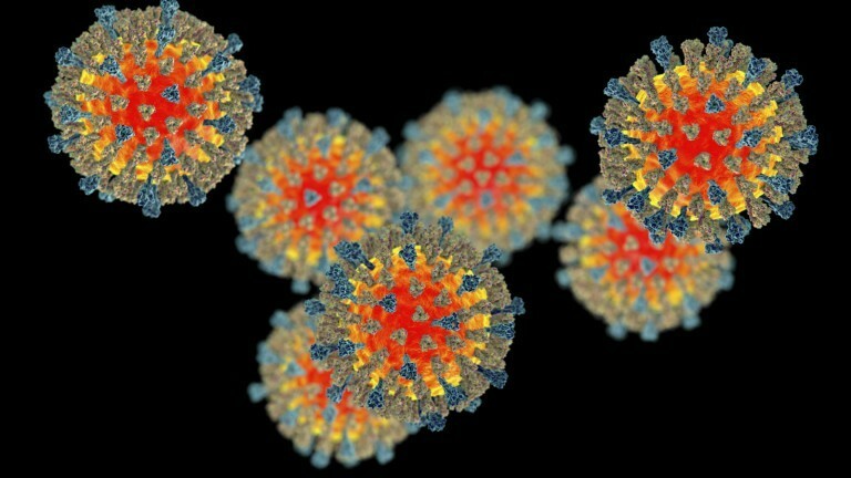 Evolutionsgeschichte von Viren: Das Masernvirus ist älter als gedacht ...
